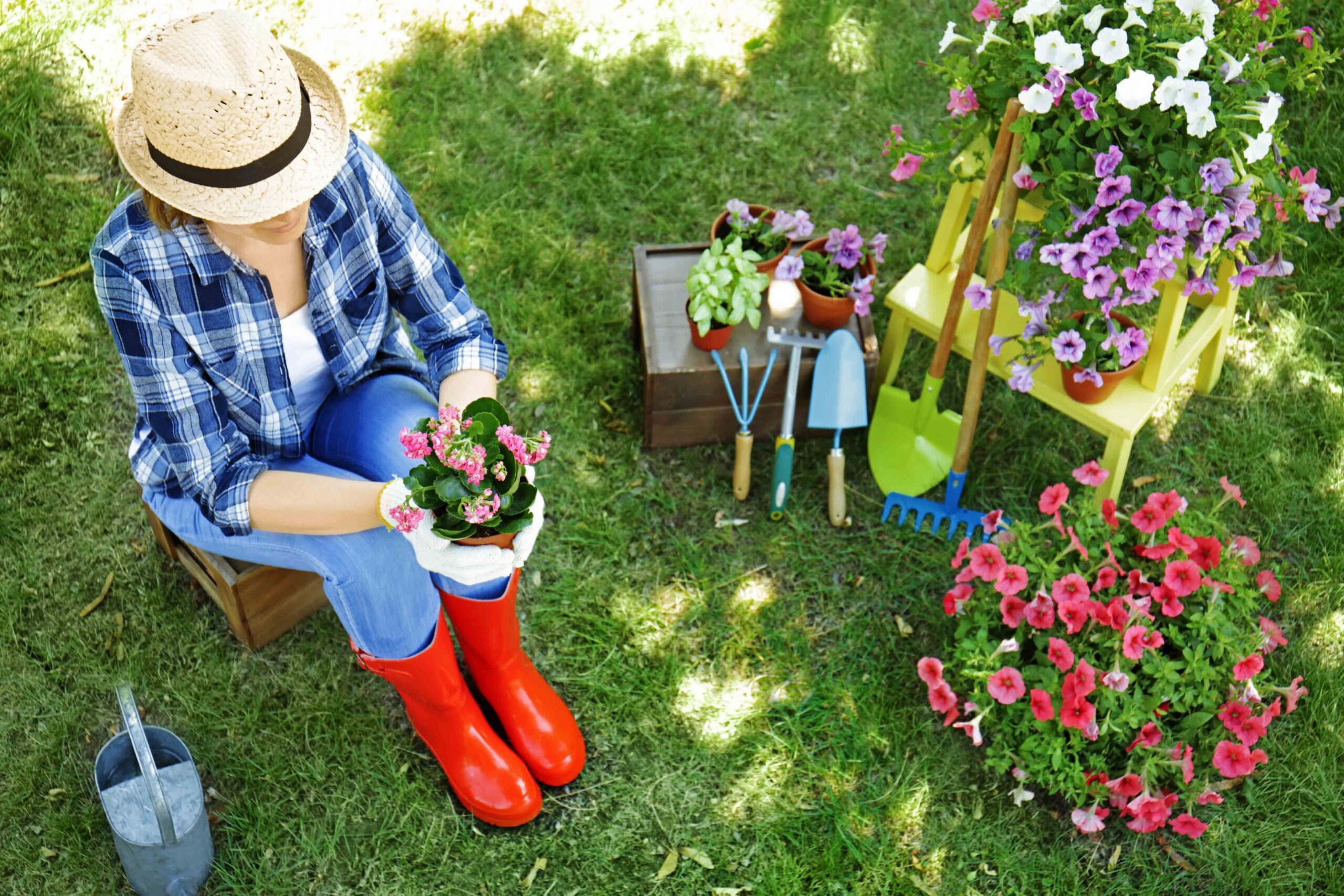 The Ultimate Guide to Basic Gardening Techniques for Beginners - Green ...