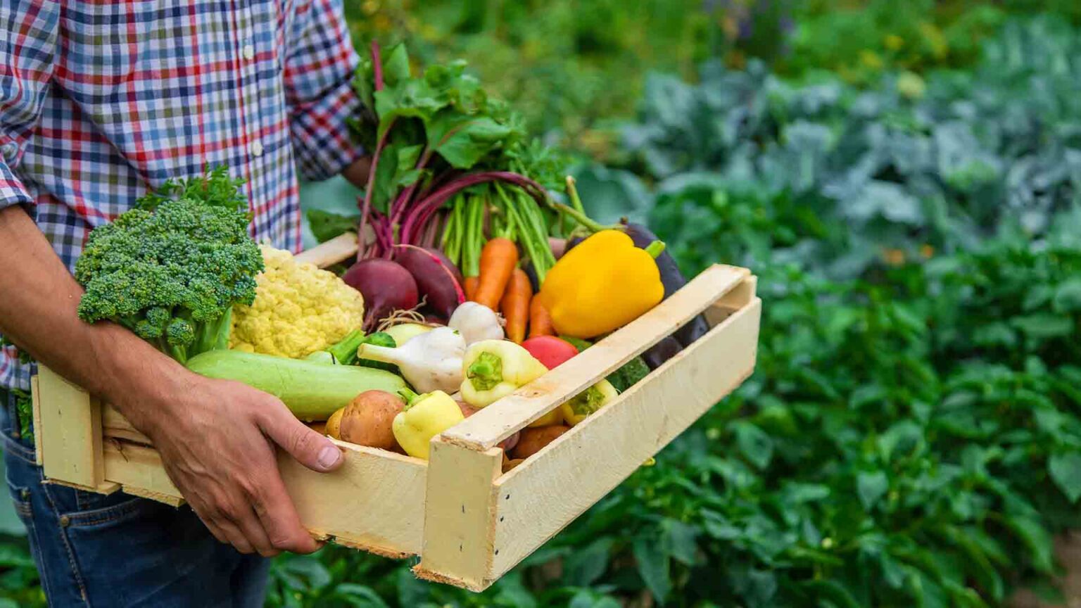 The Ultimate Guide to Basic Gardening Techniques for Beginners - Green ...
