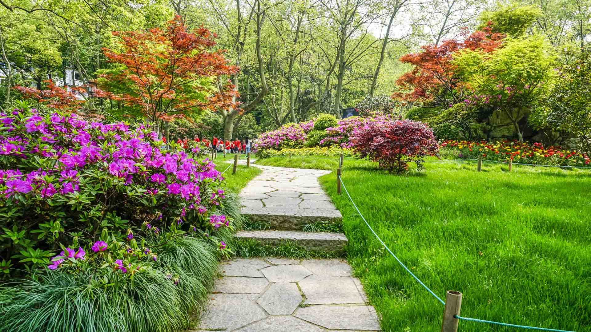 Design the Perfect Ornamental Garden: Step-by-Step Guide - Green Leafy ...