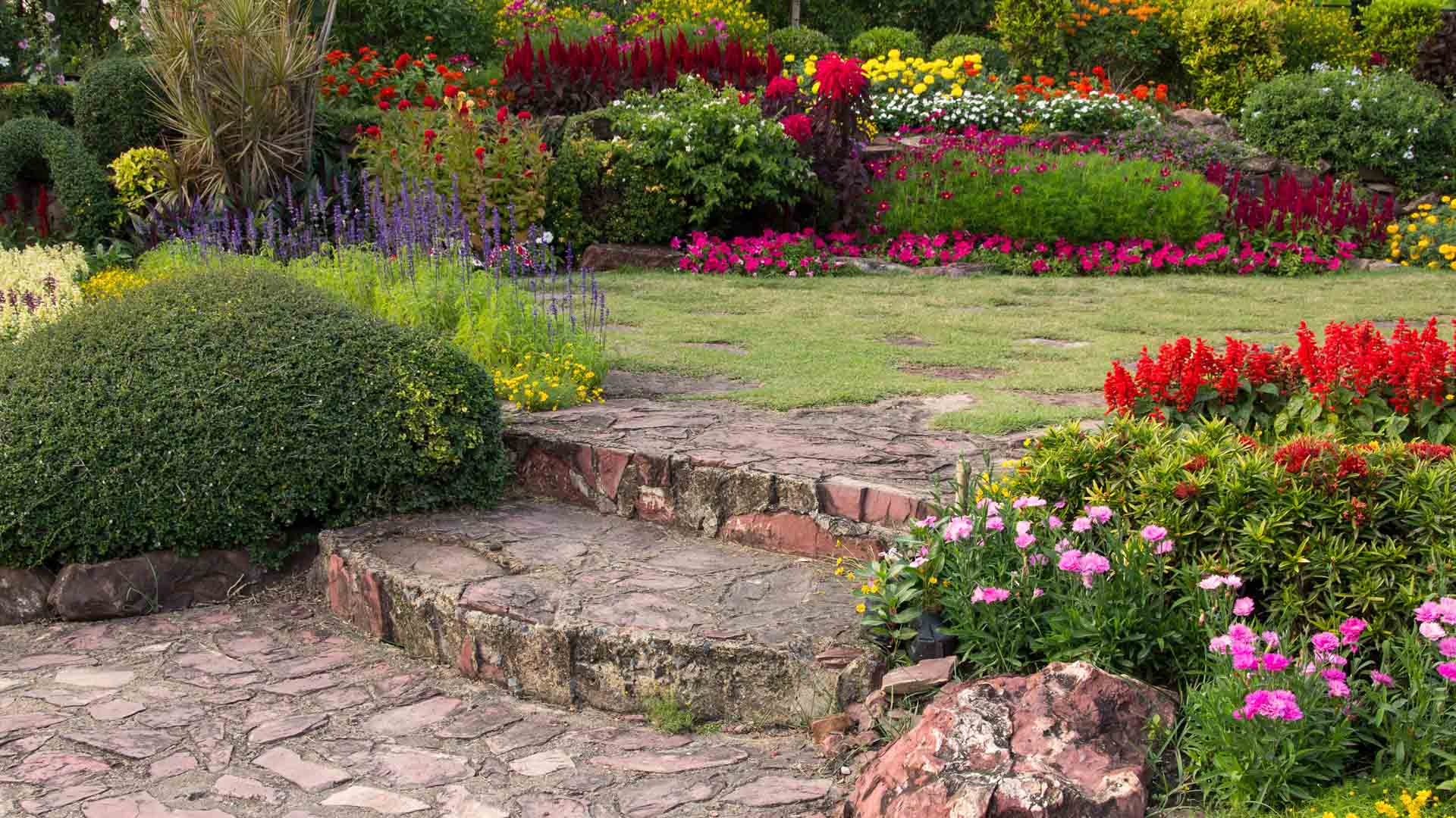 Design the Perfect Ornamental Garden: Step-by-Step Guide - Green Leafy ...